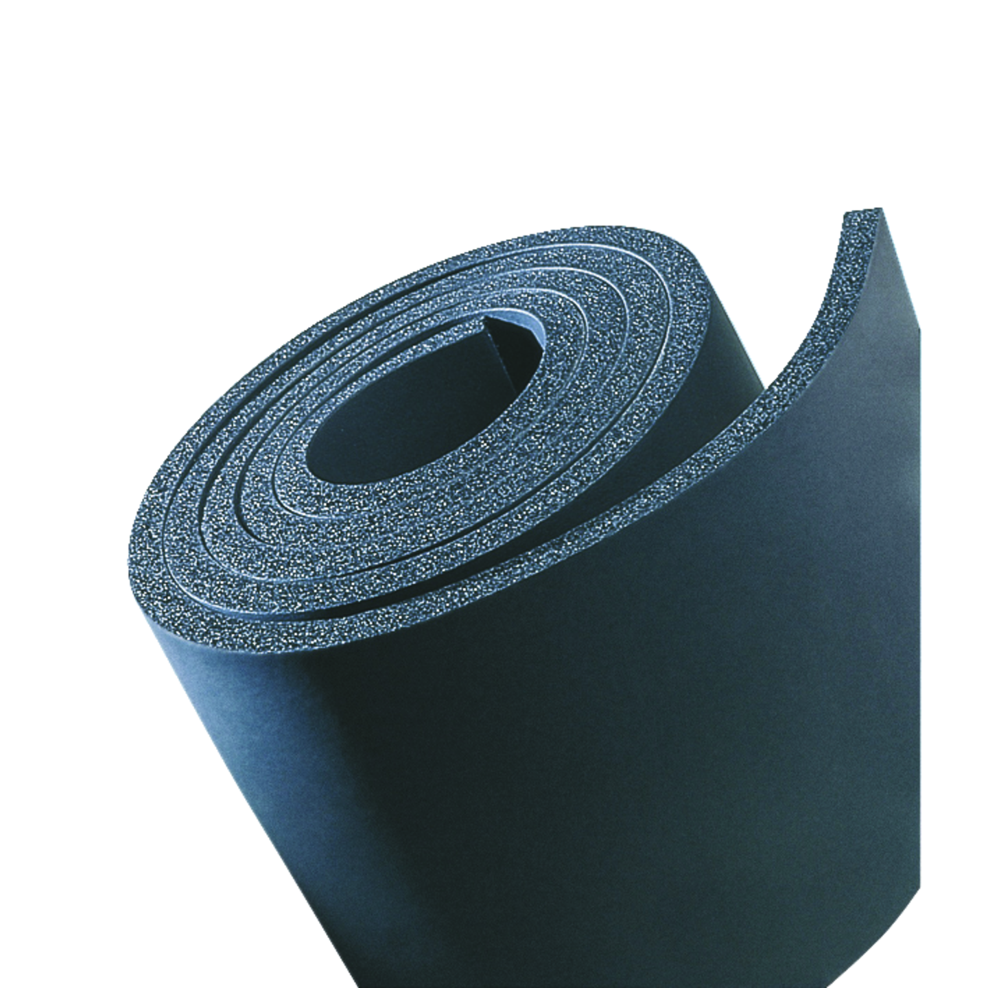 Rouleau KAIST+19-1.2